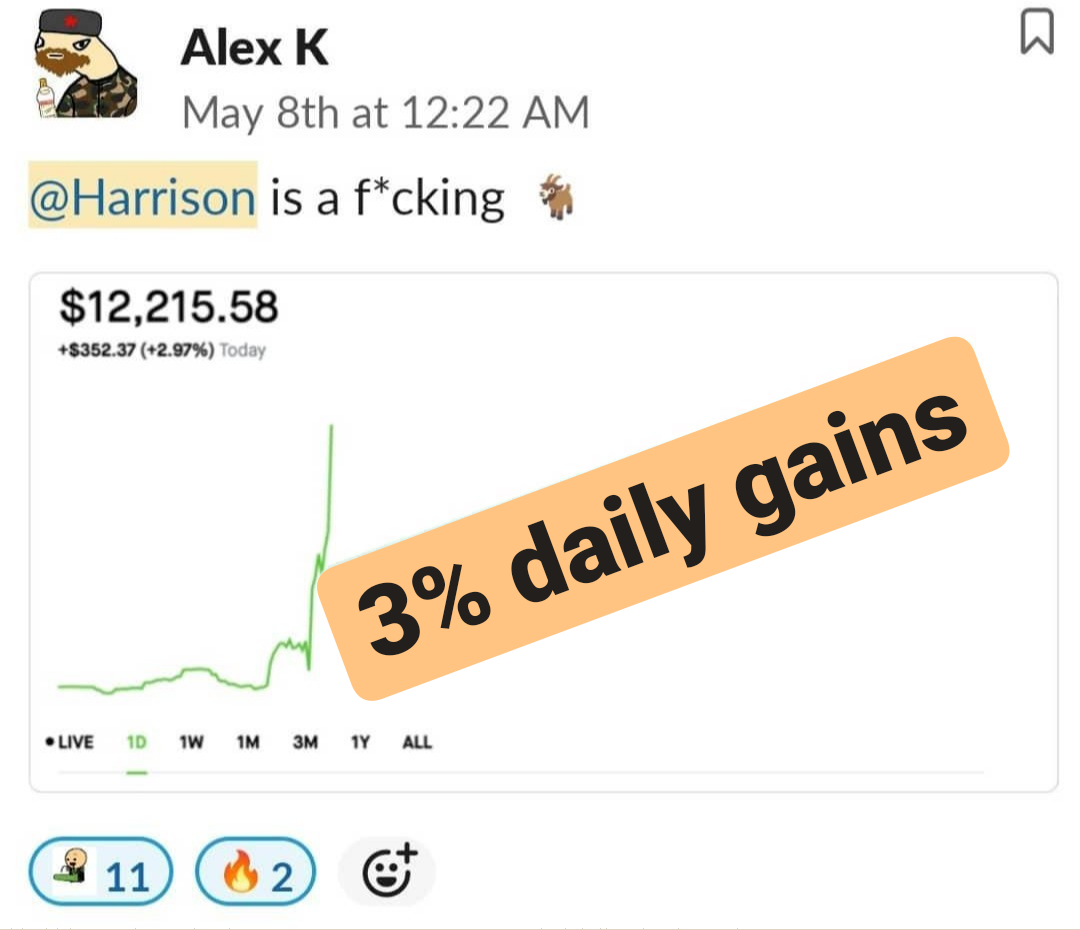 P&L - Magnus Investors